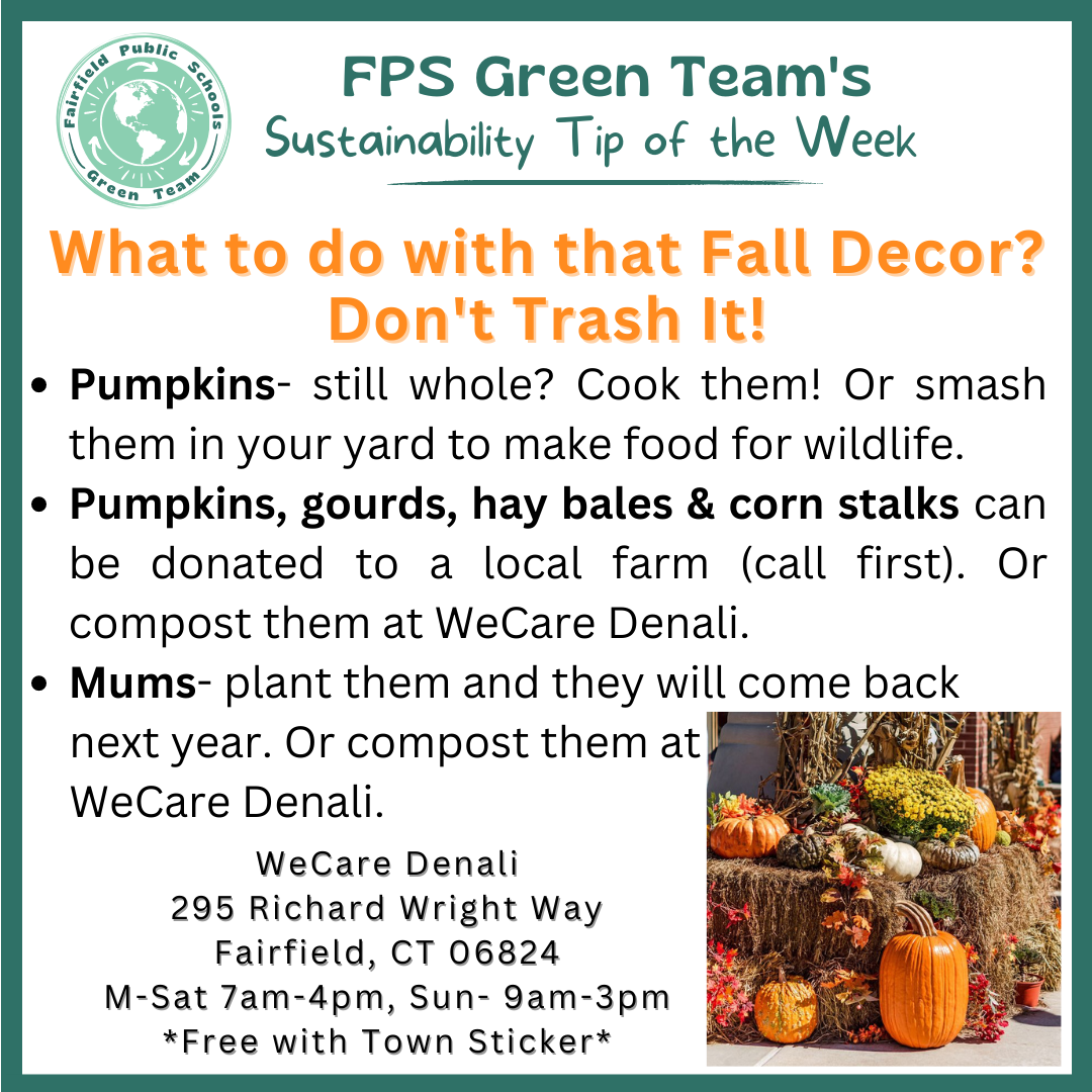What to Do with That Fall Decor? Don’t Trash It! | Sustainable Fairfield