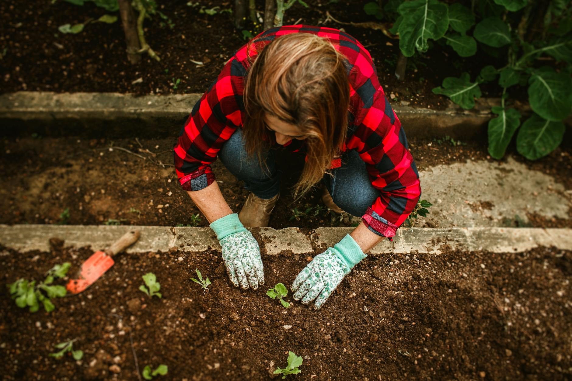Food & Waste - Sustainable Fairfield